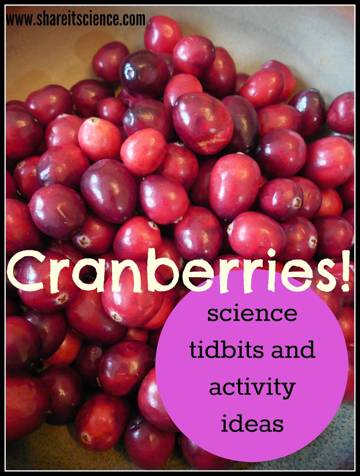 Share it! Science : Thanksgiving Tidbit: Cranberry Science!