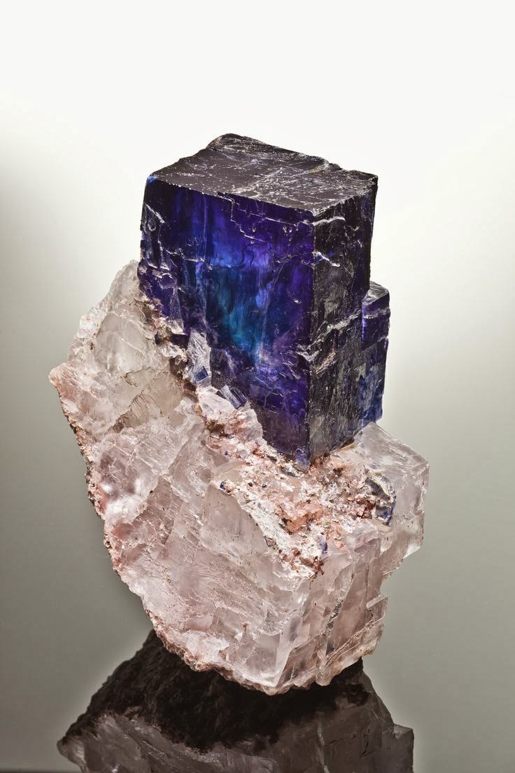 Blue Halite With Sylvite - Geology In