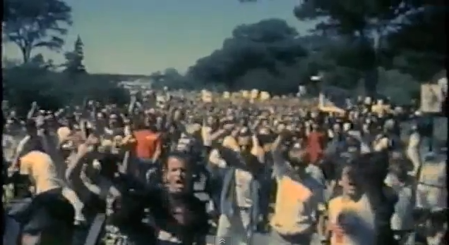 Jim Provenzano - Author: Reality Shown