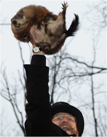 crónicas de mundos ocultos: La marmota Phil, indultada