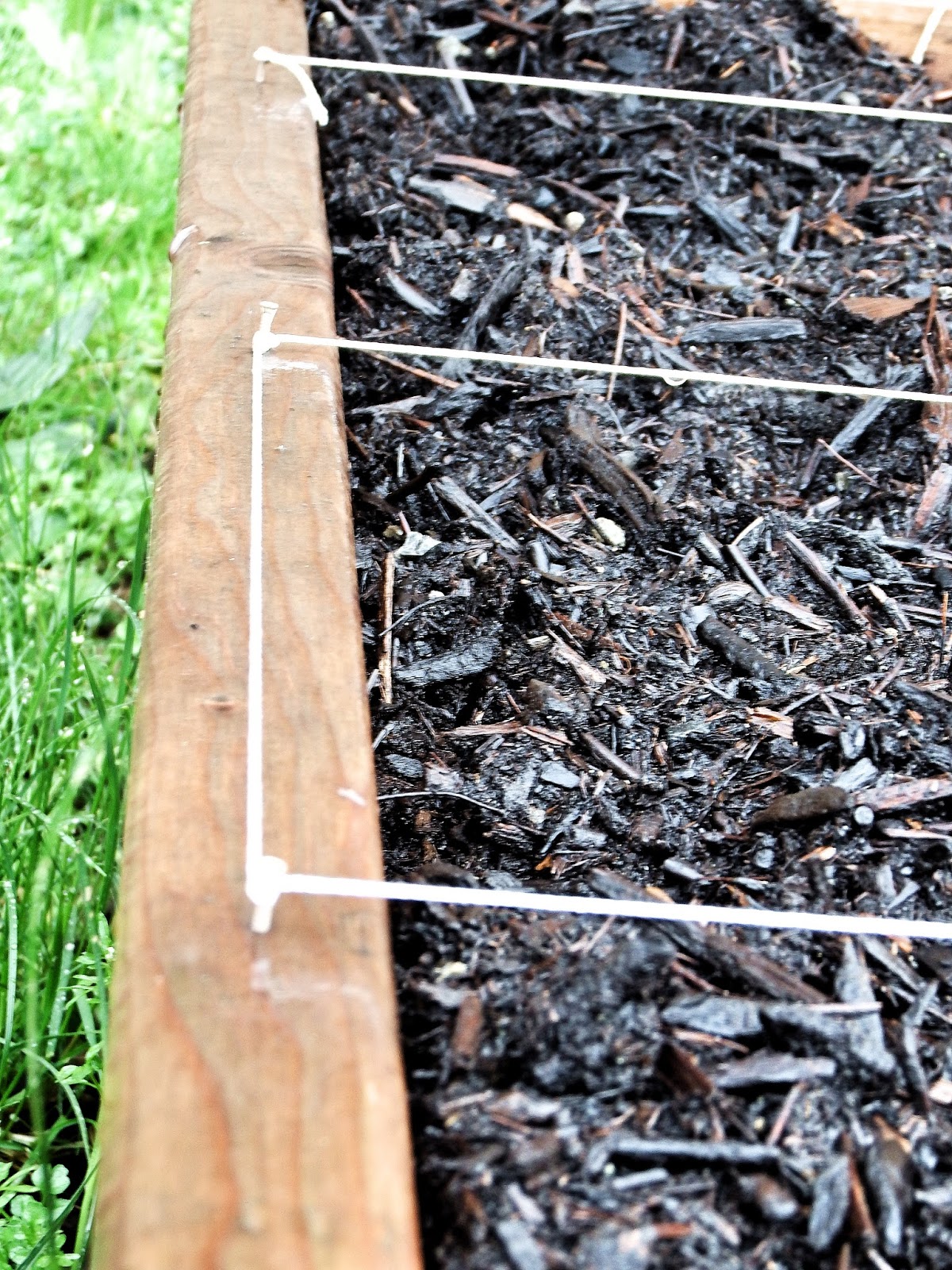 Building your own Raised Garden Bed
