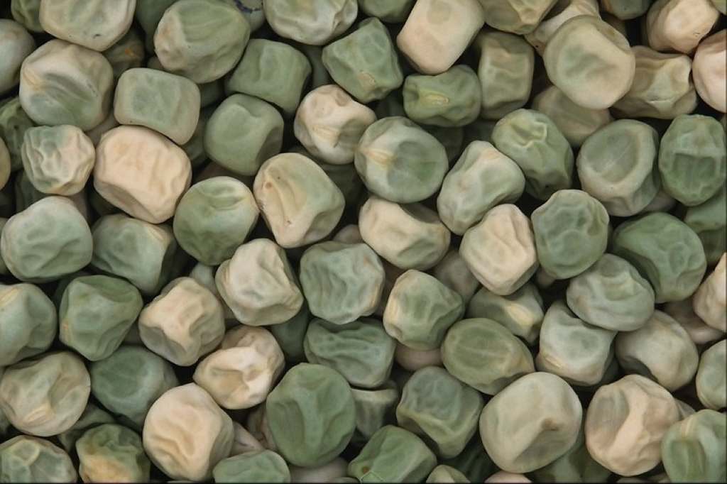 Malf's Corner: Peas
