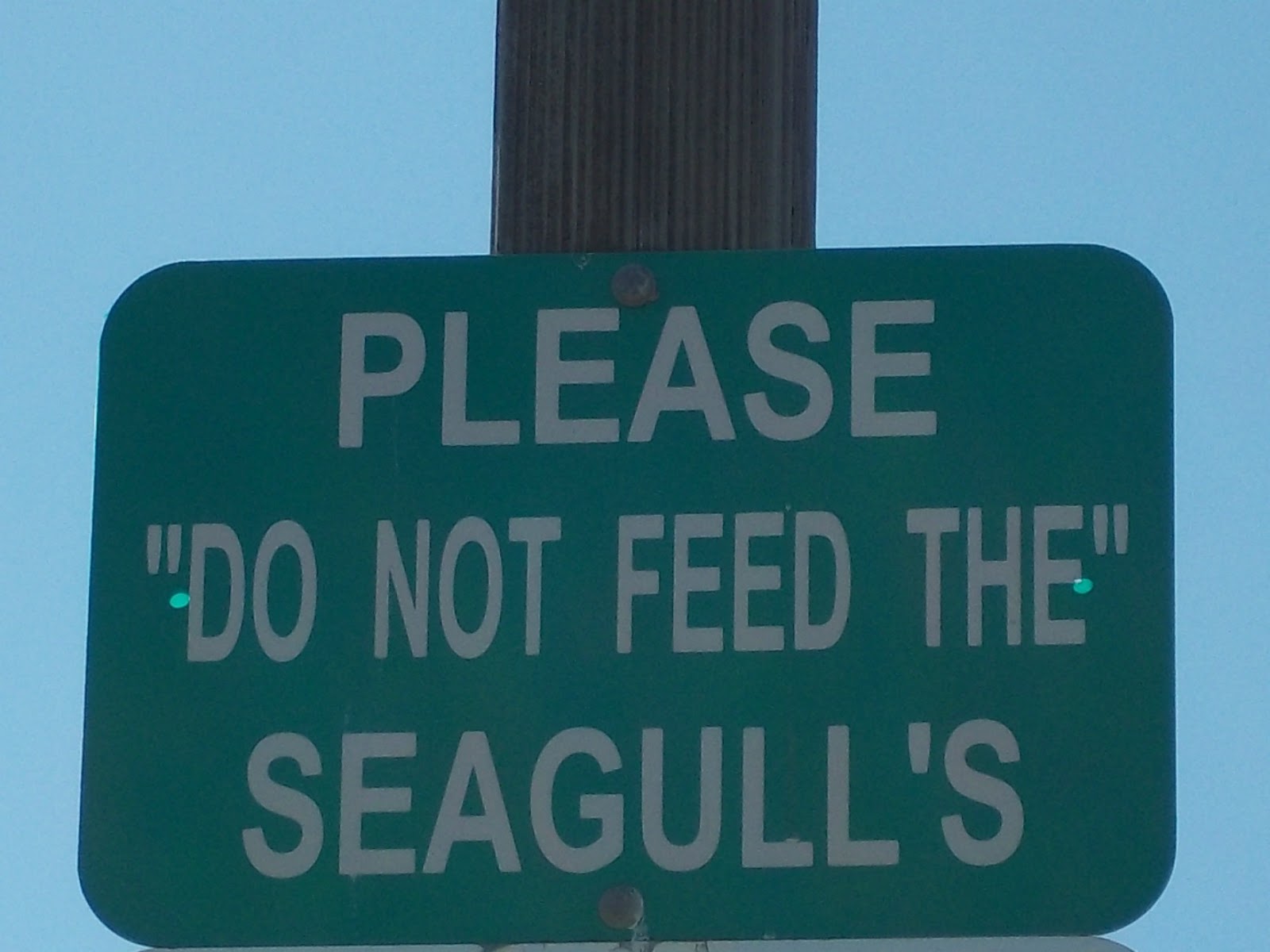 my thoughts exactly: good signs gone bad