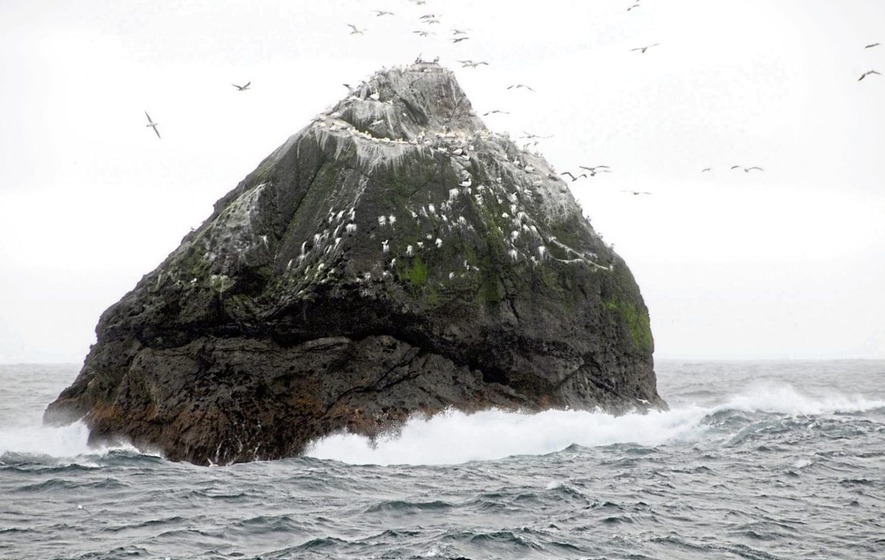 Macumbeira: Pincher Martin by William Golding