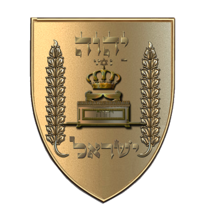 3D Digital Heraldry of Israel: Israel Blazonry