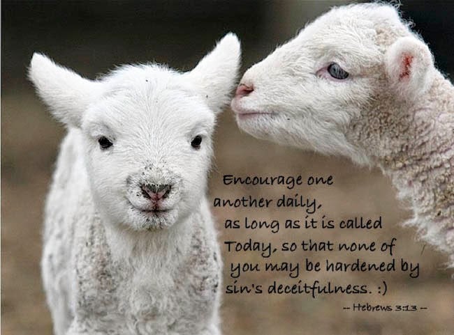 Power UP!: Power Of Guilelessness