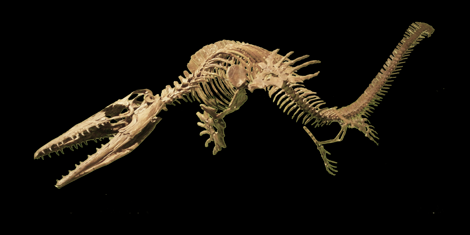 The Expeditioner's Discovery Guild: A little bit of Everything: Museums ...