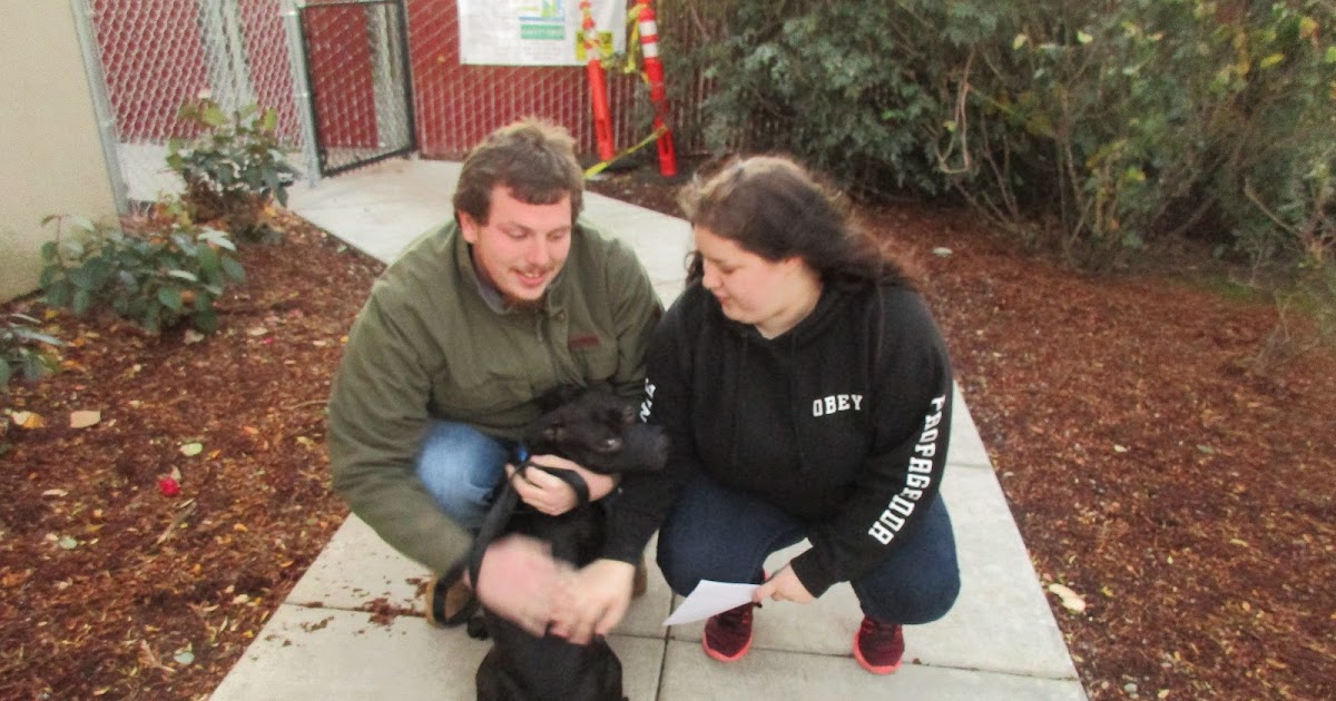 Shelter Dogs of Portland: "STEWIE" ADOPTED!!!!! the cutest little ...