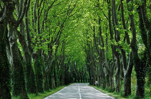 HEALTHY HEALERS: June 2013