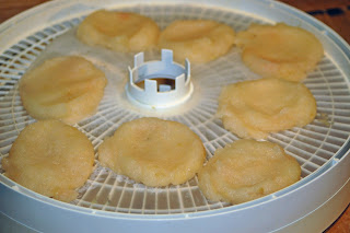 Dehydrating Way Beyond Jerky: Variables in Dehydrating Times