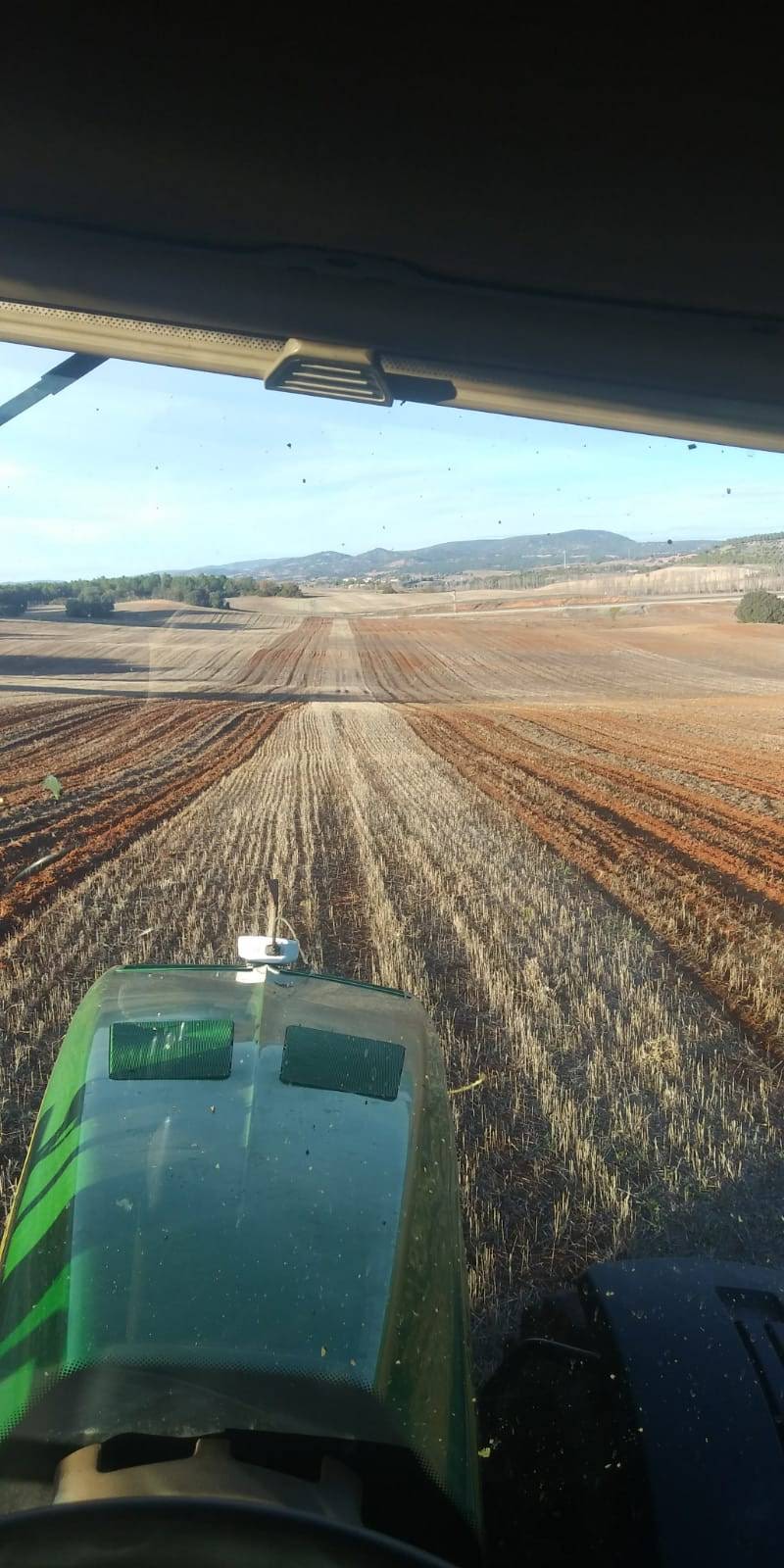 Direct sowing: Sowing pulse vegetables for forage