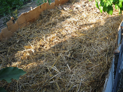 Din gradina,: Gradinarit pe strat inalt