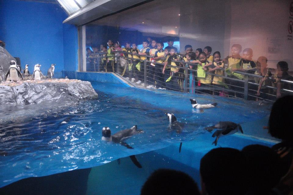 Lawatan Murid Ke Underwater World, Langkawi ~ Sekolah Kebangsaan ...