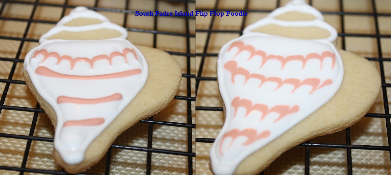 The South Padre Island Flip Flop Foodie: Sea Shell Cookies