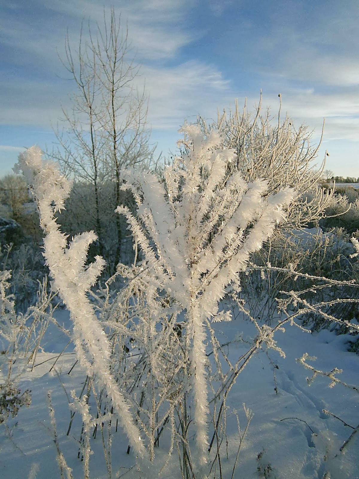 Living in the Finger Lakes: Early Winter
