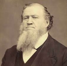 The Many Banes of My Existence by Alexis: Brigham Young: Appendicitis ...