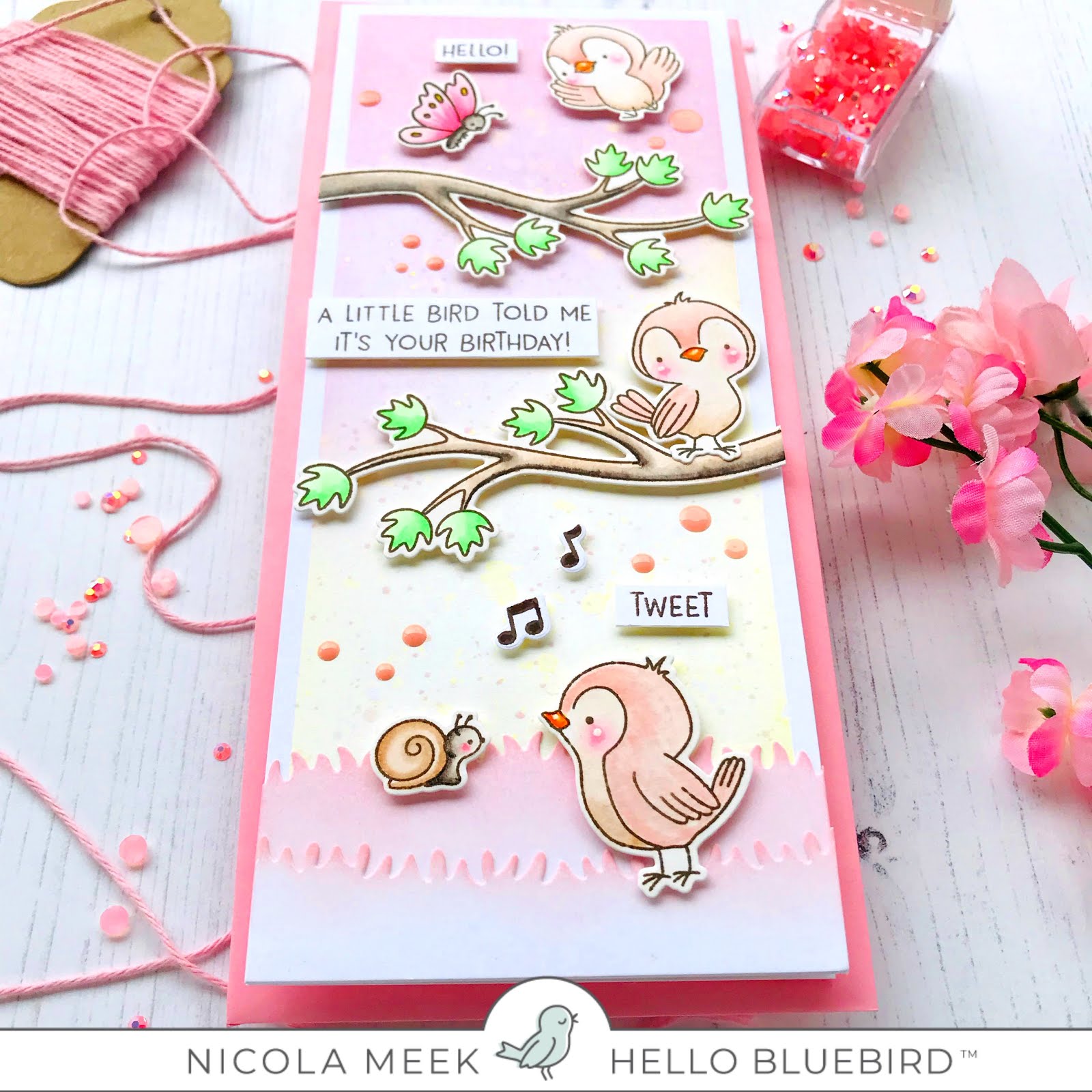 Nicky Noo Cards: Garden Friends - Hello Bluebird Stamps