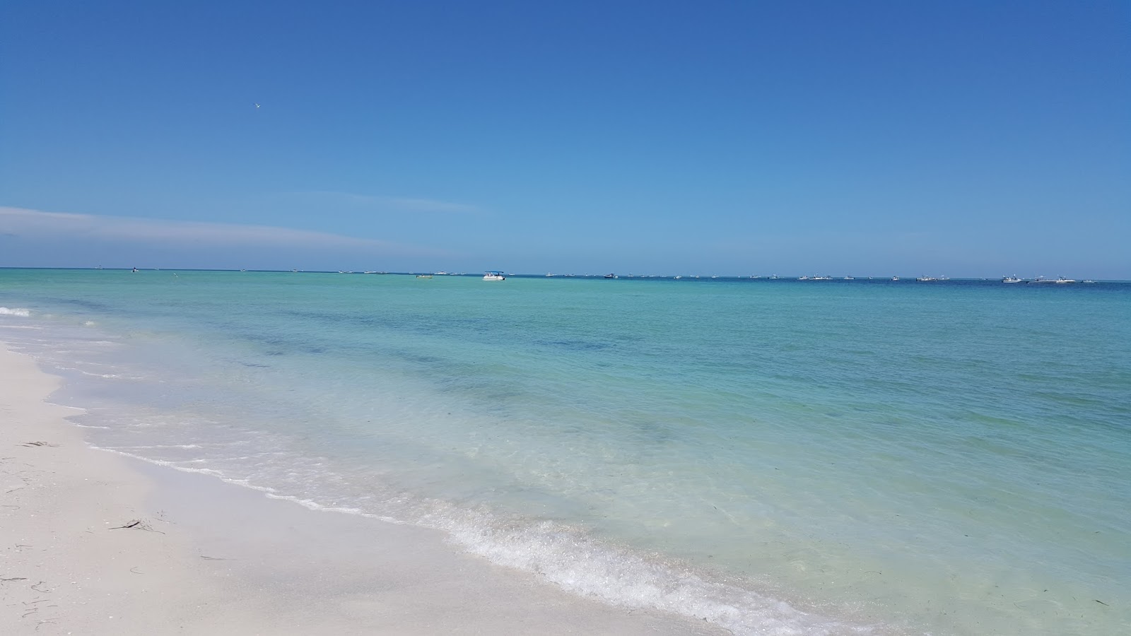 Island Verve: Chicken Fried Mullet with Sriracha Tahini Sauce