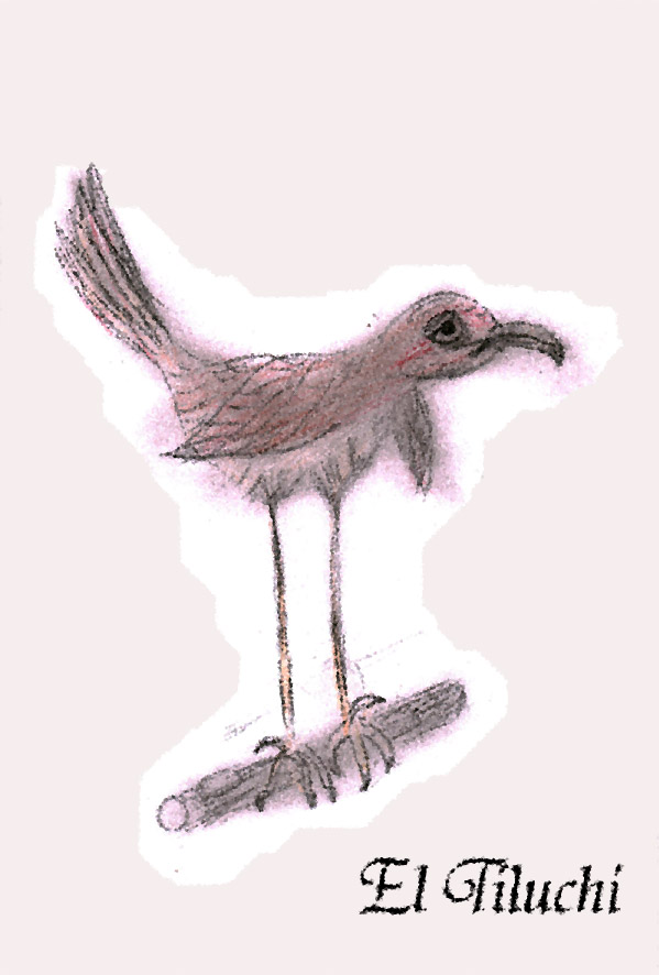 El Serere y Camarilla: El Tiluchi Futbolista