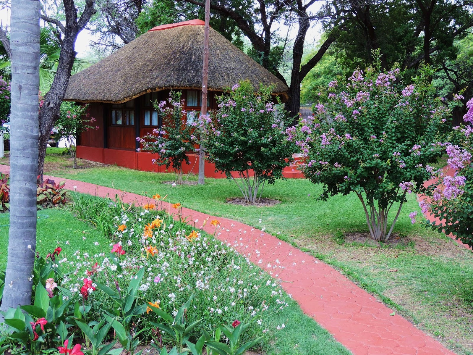 Travel with Kevin and Ruth: Best of the Gondwana Collection!