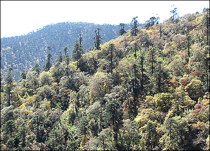 Atlas: Nepal natural vegetation