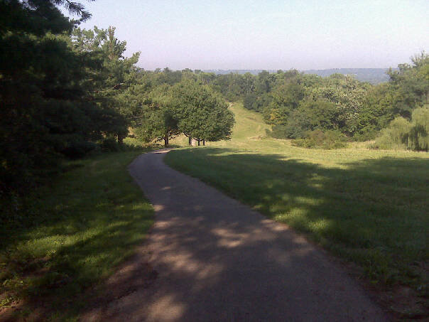 A (Lone) Wolf in the Village: Amberley Green