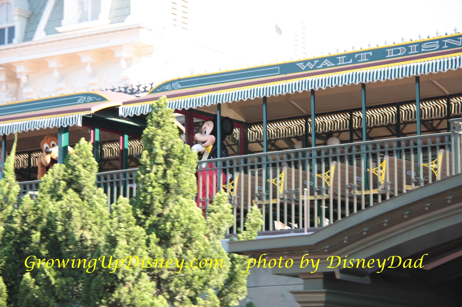 Growing Up Disney: Five Photos: Rope Drop at the Magic Kingdom