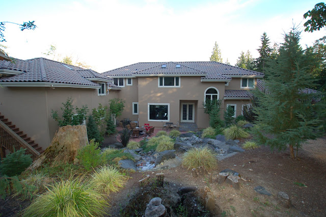 Never Enough Thyme : The back patio