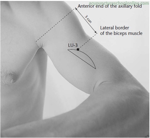 Jarum Sakti: Meridian Paru-paru & Usus Besar