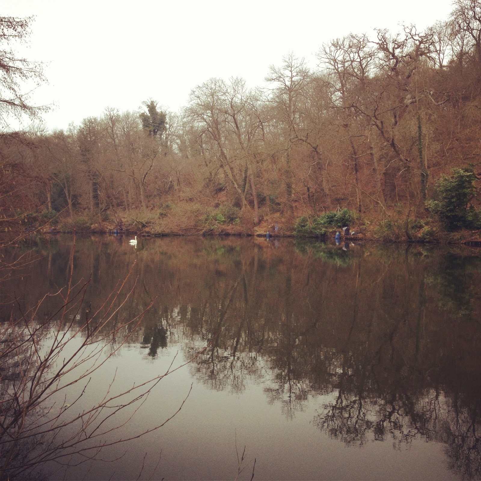 All the Gear, No Idea: 03 March 2013, Busbridge (Godalming AS)