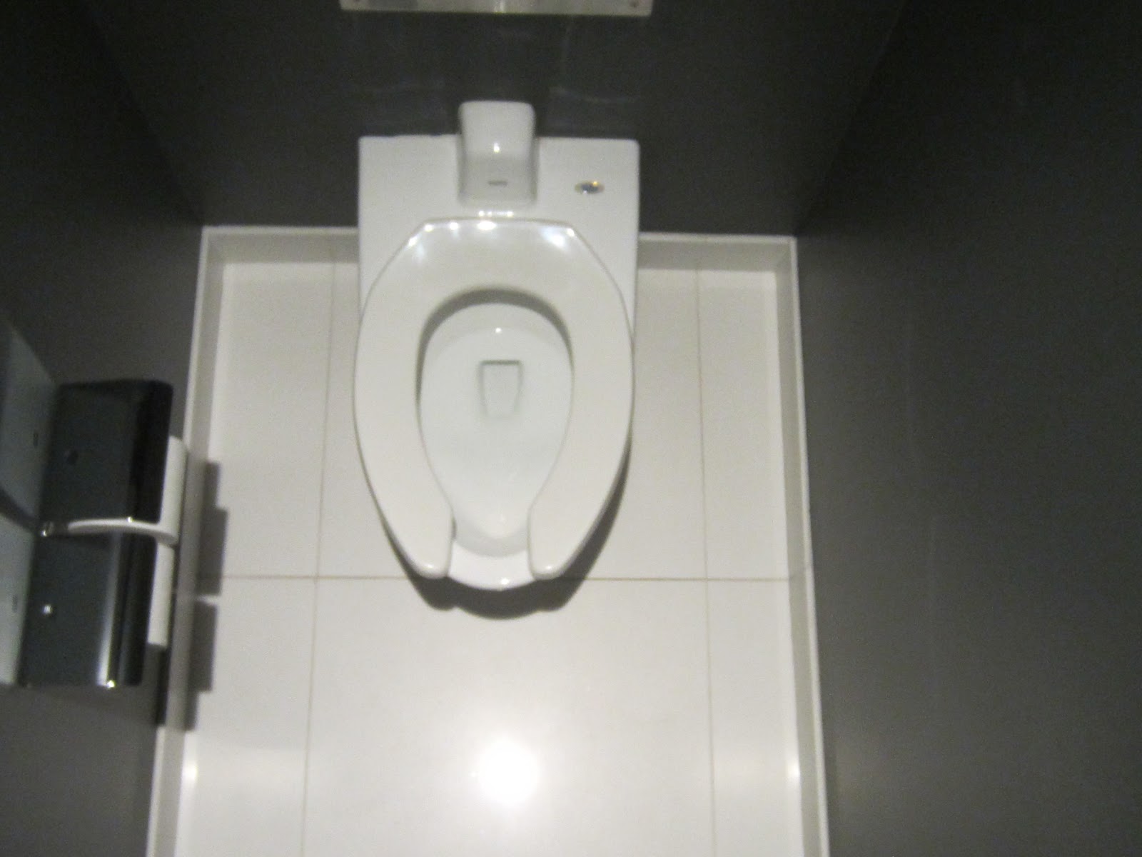 Les toilettes: Un Toilette de primer mundo