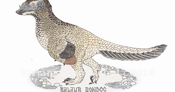 zoográfica: Balaur bondoc