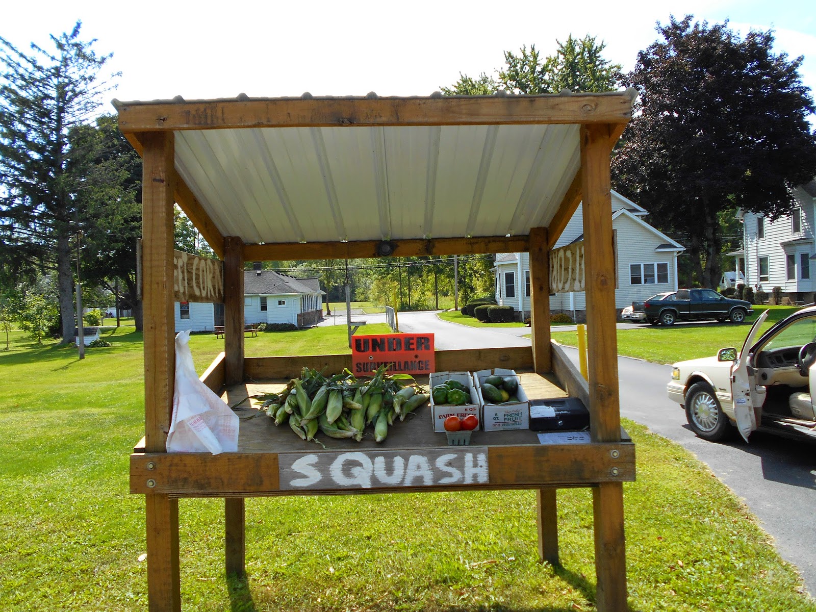 New York State of Mind: LOCAL ROADSIDE VEGETABLE STANDS