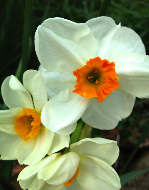 Tuesday Trends: Bloomies Extra 20% Off Sale, Lilly on RLL and Giveaway ...