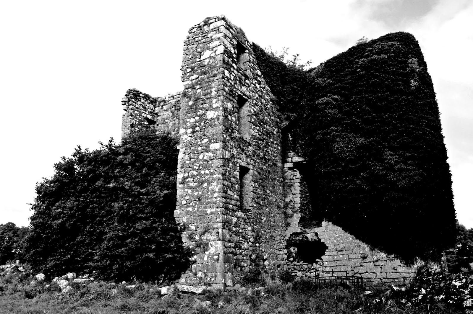 Historic Sites of Ireland: 2014-01-05