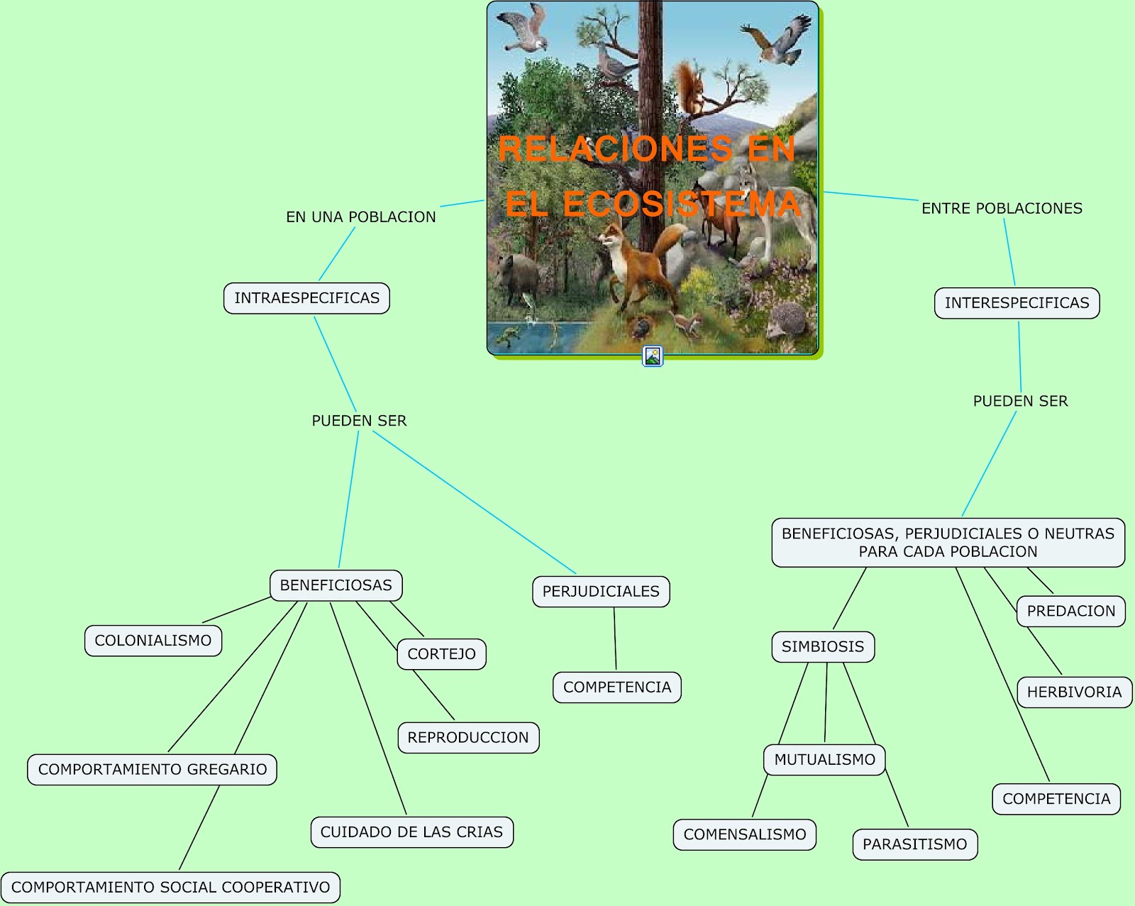 ***IPES, Profesorado de Biología***: RELACIONES EN EL ECOSISTEMA. MAPA ...