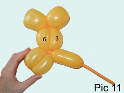 CLASSICAL: Balloon dog