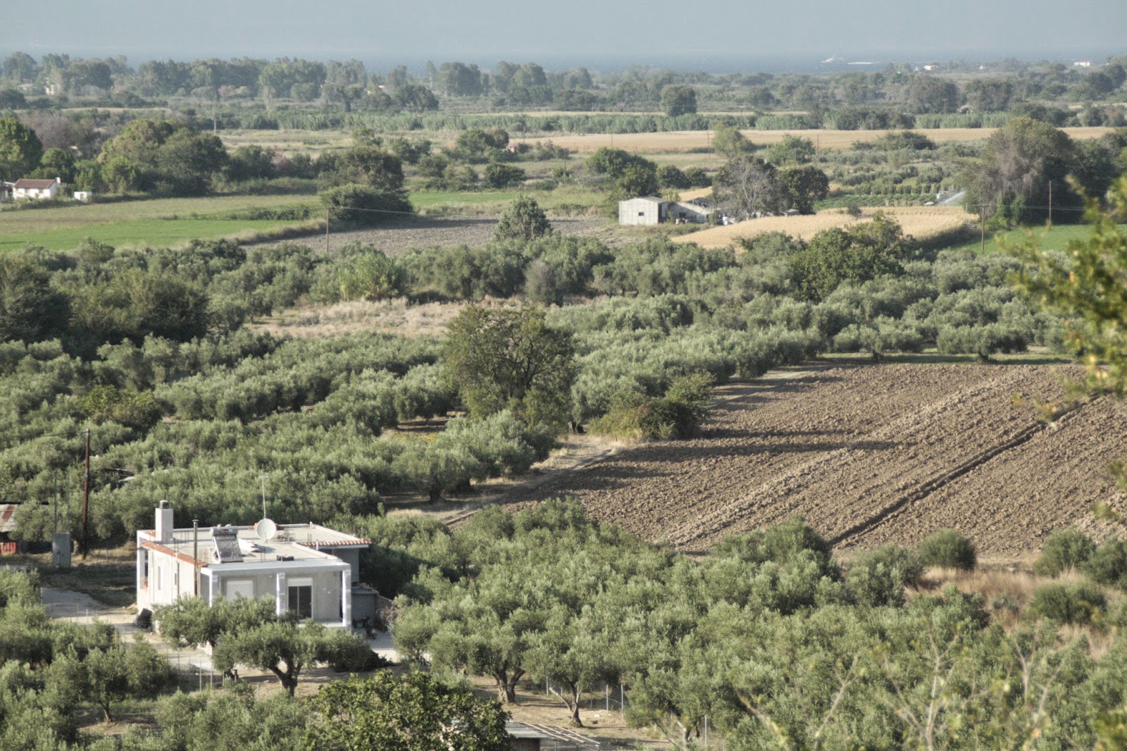 Welcome Aboard Common Sense: Oreis, Oreios, Orei? Even the locals call ...