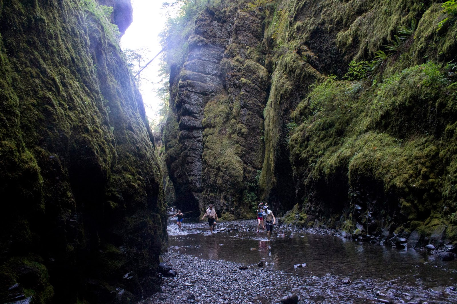 Dave Goes Outside: Wauna Viewpoint, Oneonta Gorge, and Bridal Veil falls