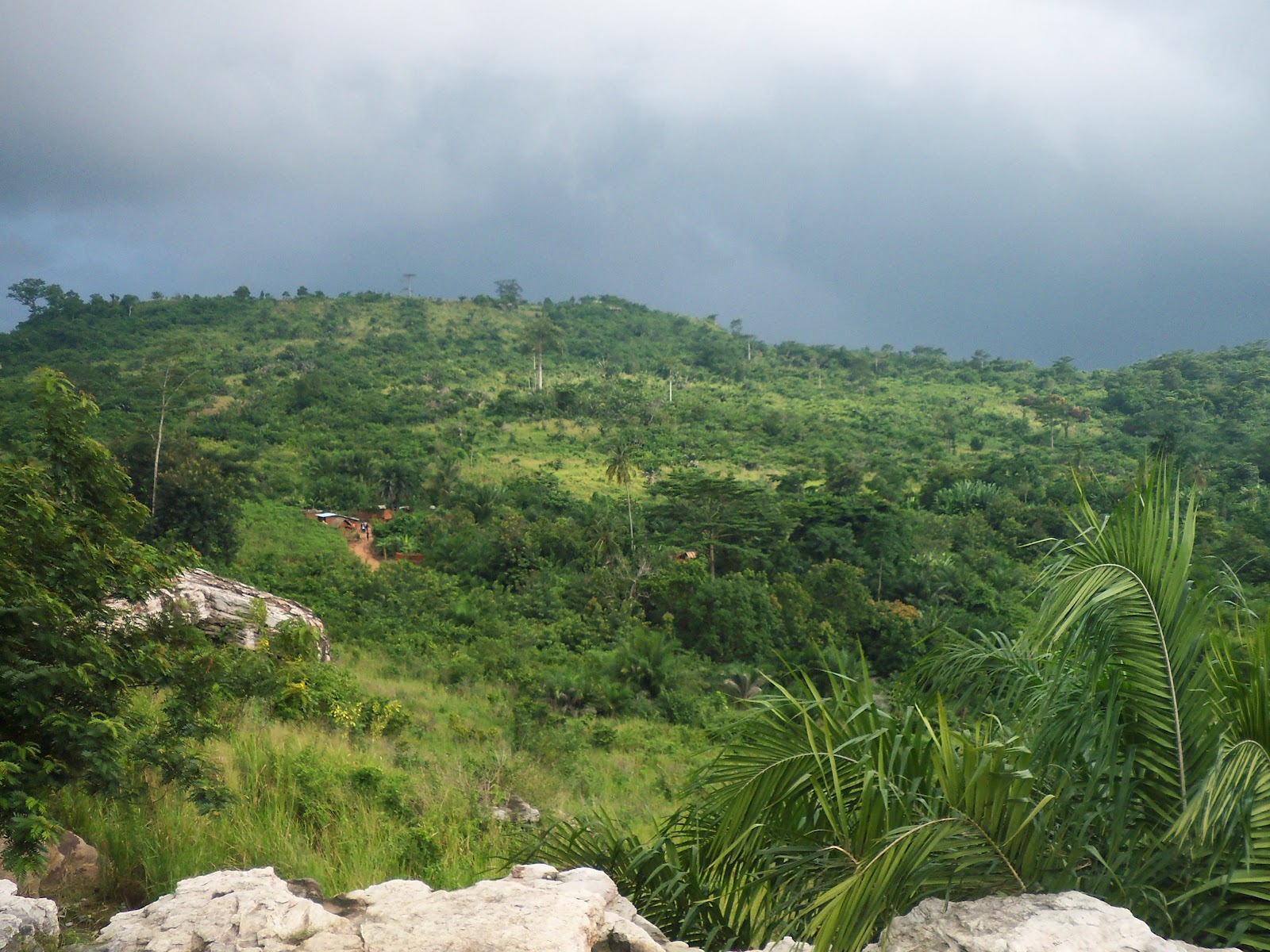 The Ghana Experience: Pictures of the Akaa Village