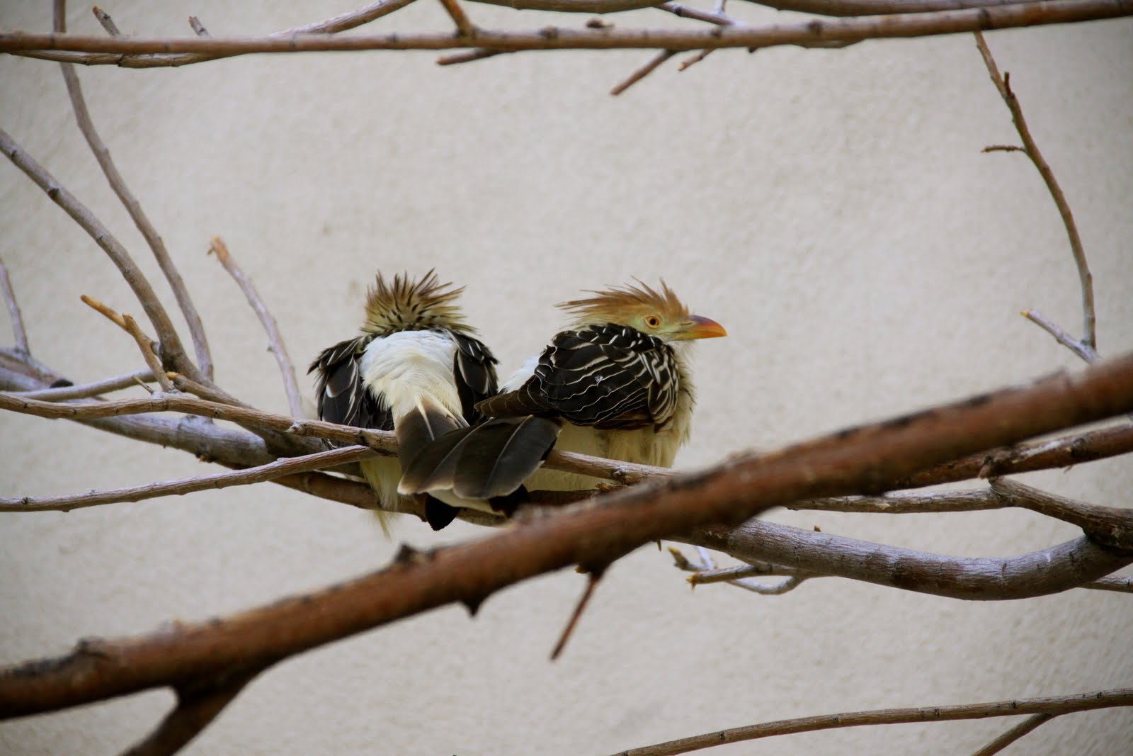 My Scenic Byway: The Tracy Aviary - Must See in Salt Lake City