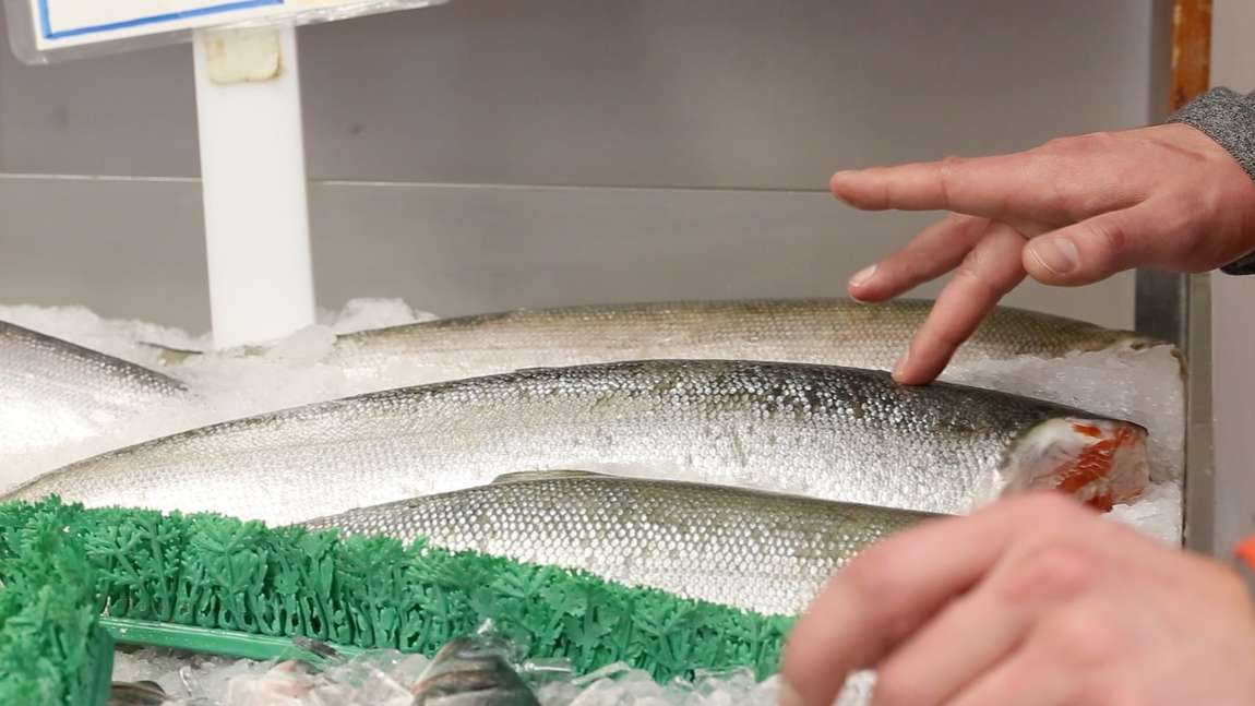 Our Profile (Indonesia Milkfish Factory, How to Fillet Milkfish, Fresh ...