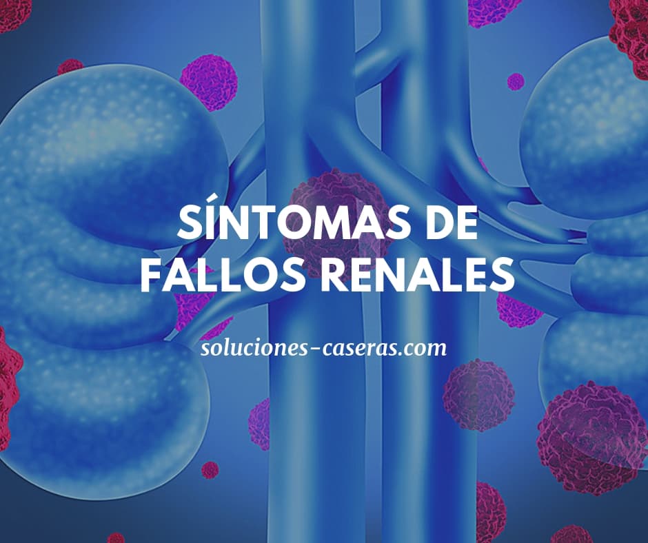 Síntomas que nos alertan de un fallo o insuficiencia renal