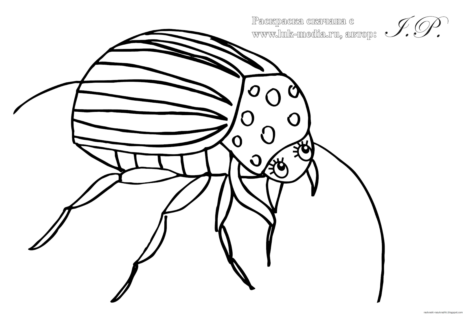Жук Раскраска Для Детей