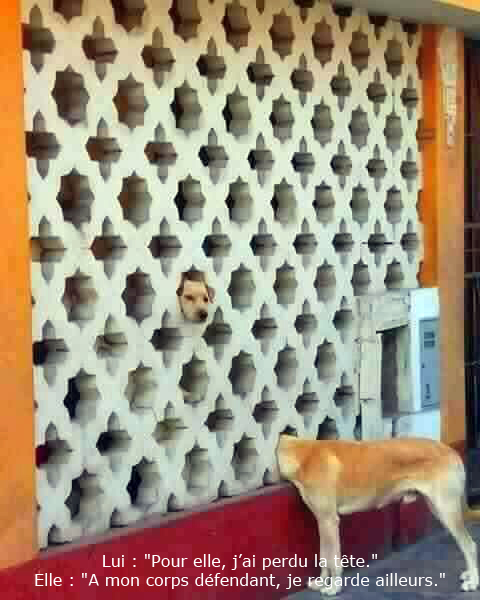 G A M ( M ) E S : Tête à queue