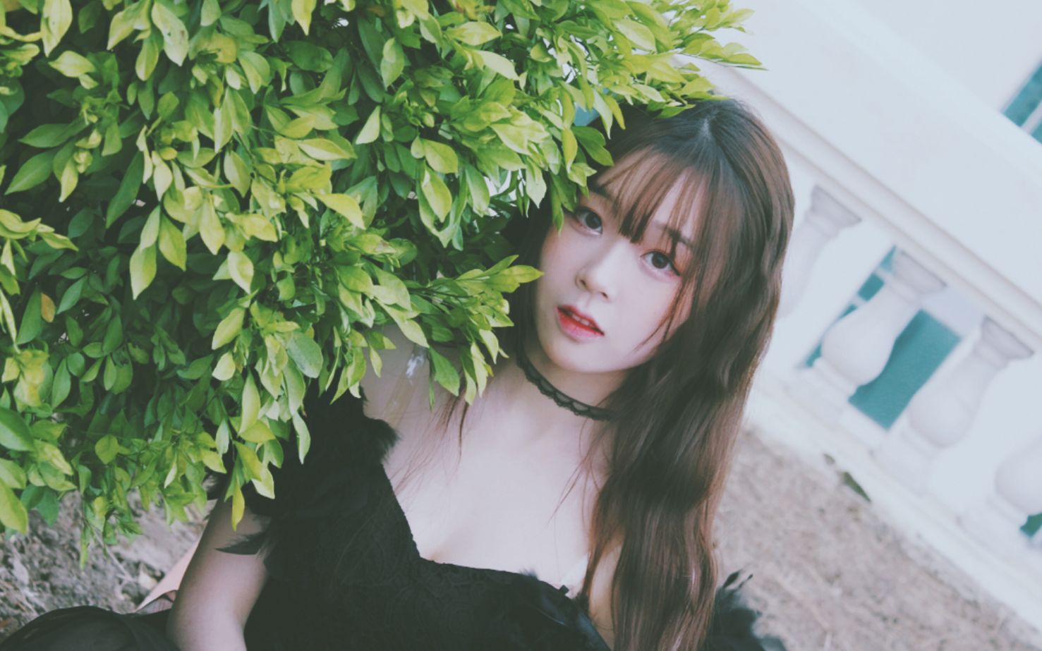 Lin Zhi GNZ48 Alami Pelecehan Seksual