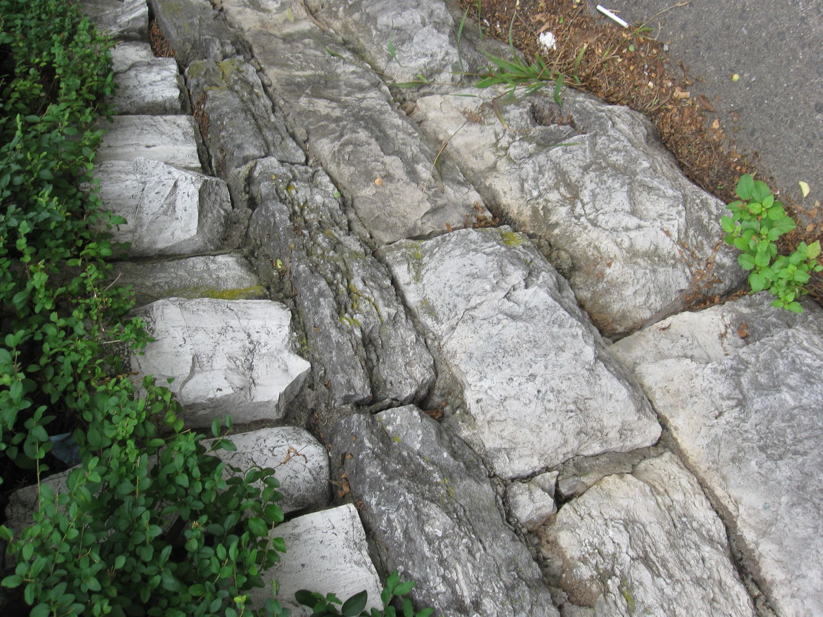 FOLKWAYS NOTEBOOK: DANVILLE KENTUCKY -- ROCK WALLS