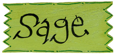 On a Journey Back to Her Wings: I Heart Herbs ~ Sage