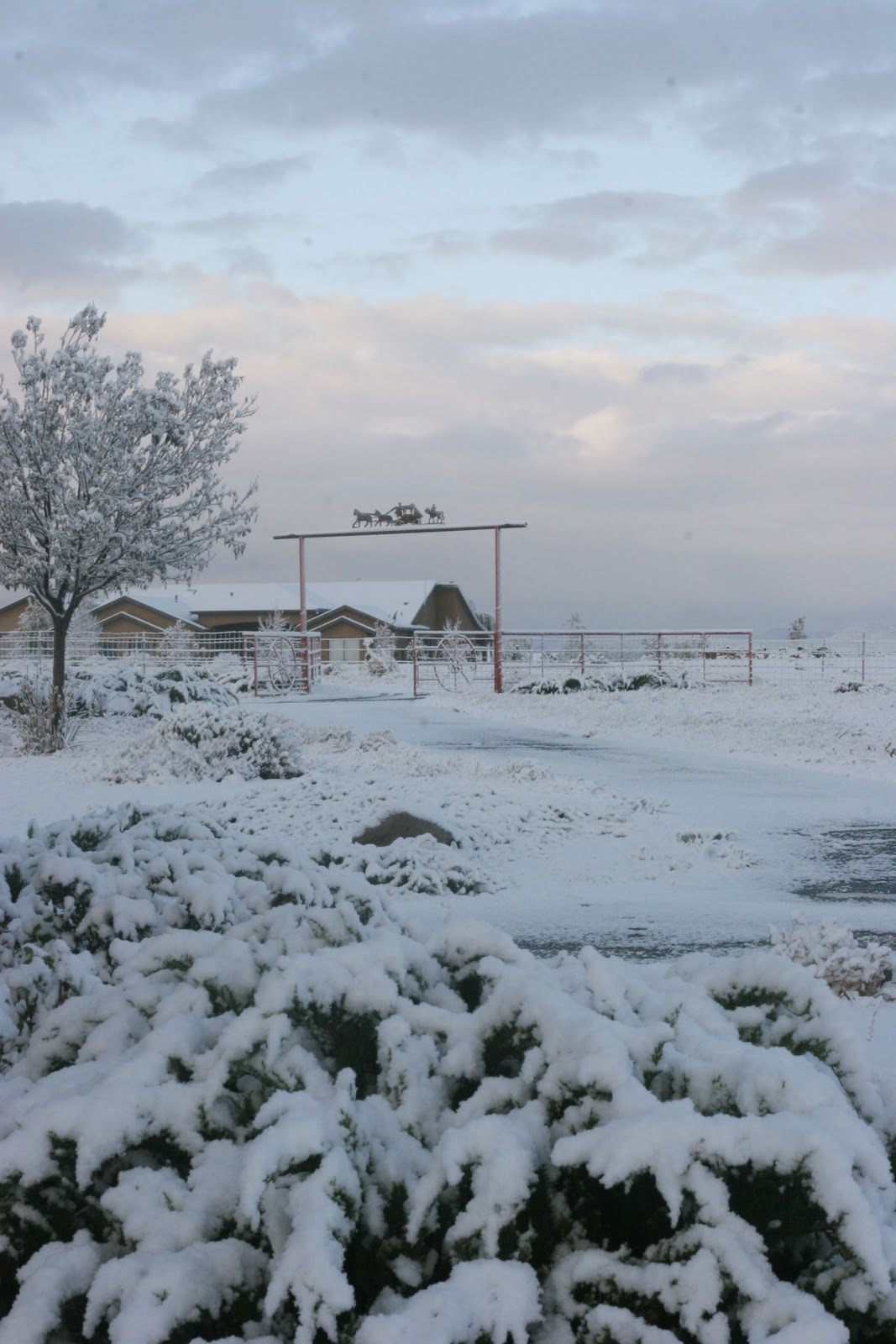 The Nelson Family Blog