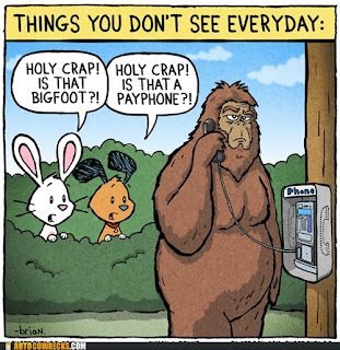 Everything Amazing: Daily Jokes! Tuesday